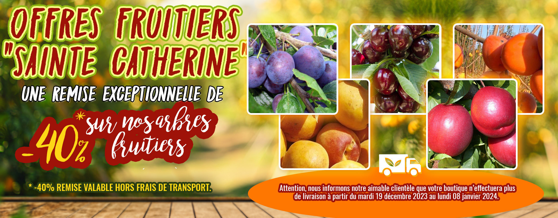 Vente en ligne de plantes et articles de jardin